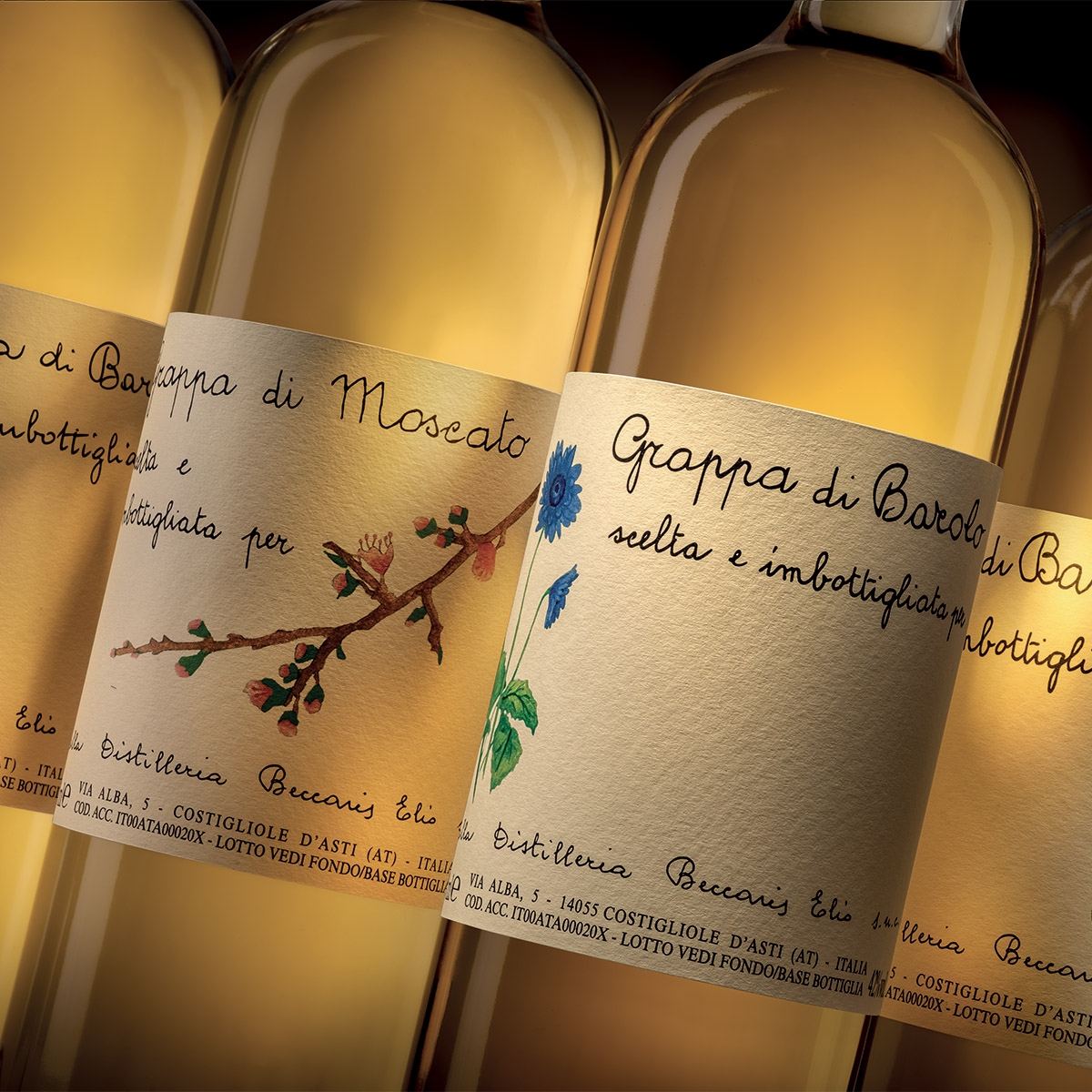 Distilleria Beccaris